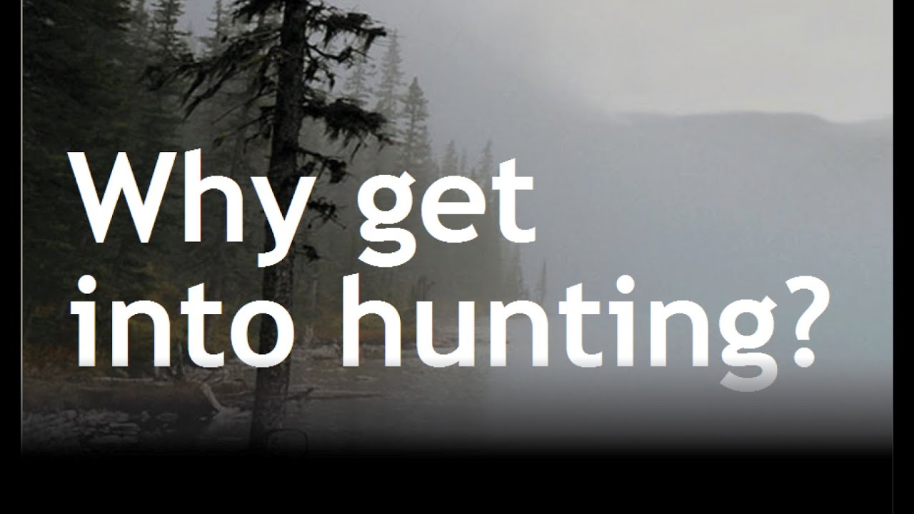 Hunting : the importance of hunter's training - YouTube