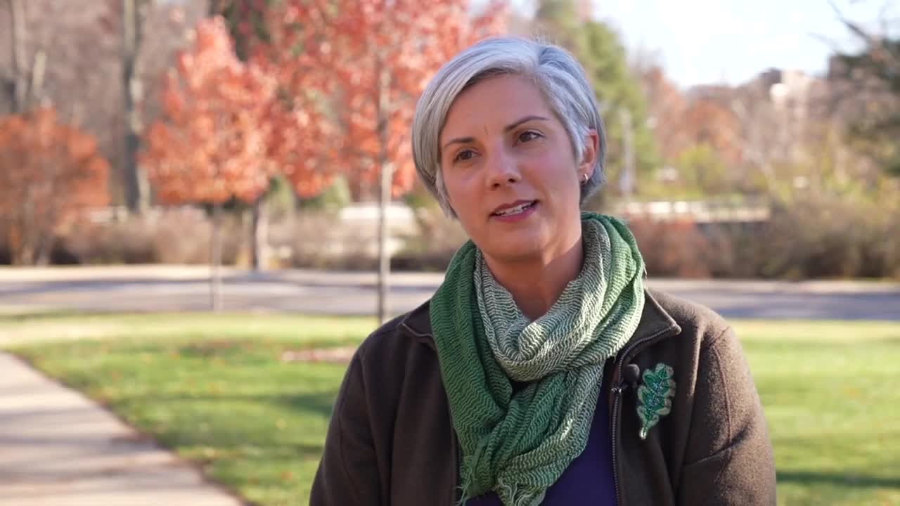 MSU Professor launches study to tackle climate change - YouTube