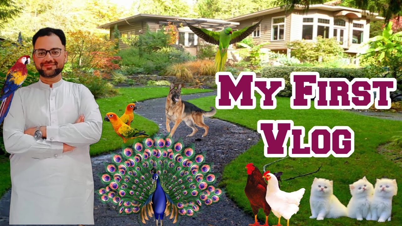 My First Vlog || 😍Chota Sa Zoo - YouTube