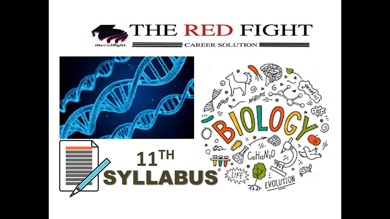 BIOLOGY SYLLABUS CLASS 11 YouTube biology-syllabus-class-11-youtube