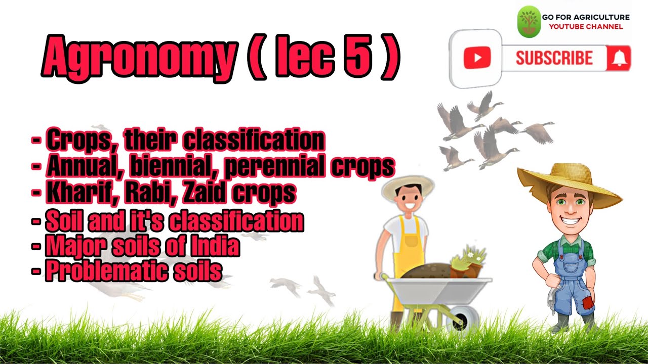 KHARIF RABI ZAID crops| Crop classification| Soil Classification ...