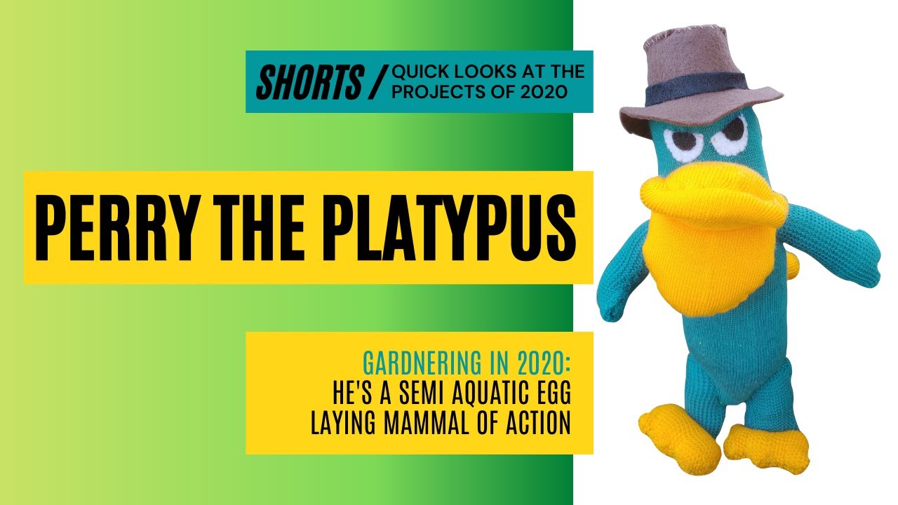 DIY Perry the Platypus Stuffie - Phineas and Ferb Project Idea - YouTube