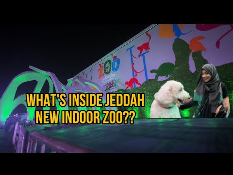 Would you visit new Jeddah Indoor zoo? 🥶 - YouTube