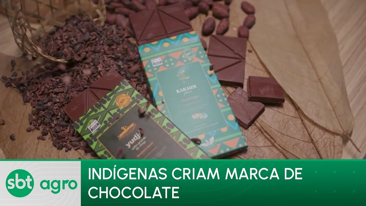 SBT Agro 24/06/24: Indígenas inovam e criam própria marca de chocolate ...