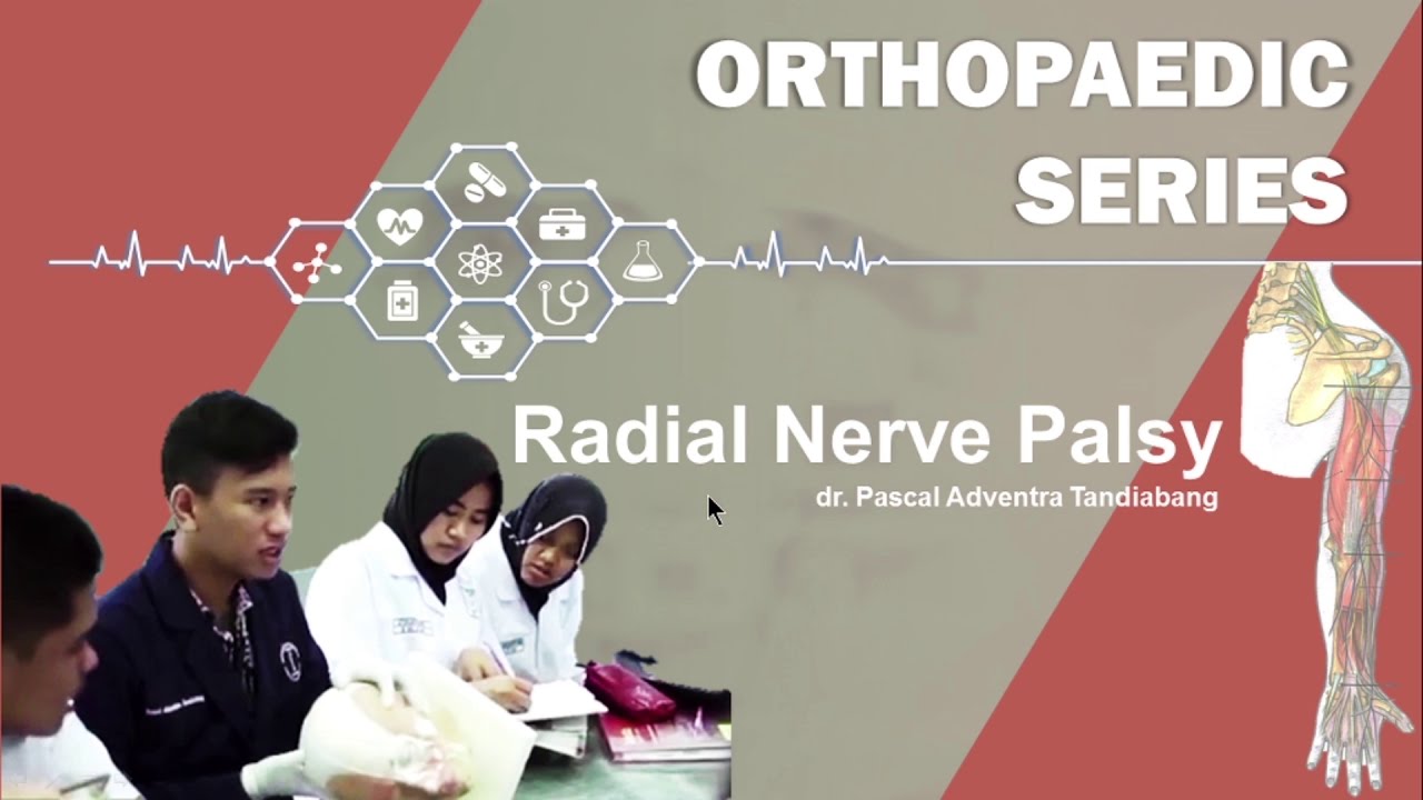 Radial Nerve Palsy (Wrist drop) - Definisi, Anatomy, Manifestasi Klinis ...