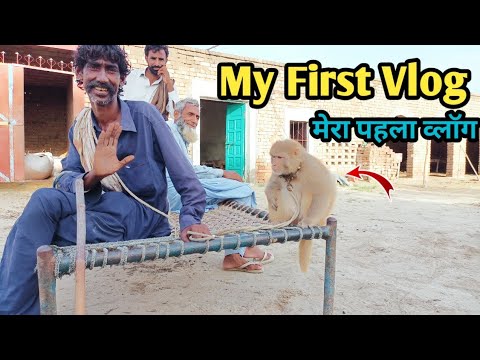 My first vlog || Monkey vlog 🐒 - YouTube
