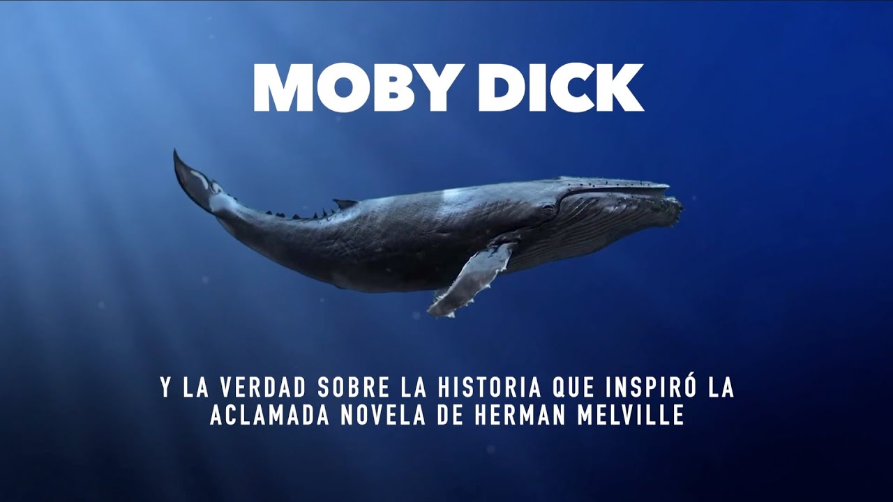Moby Dick la historia que inspiró la aclamada novela de Herman Melville ...