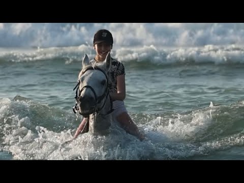 Swimming with horse galloping at the beach#horserid #equestrian # ...