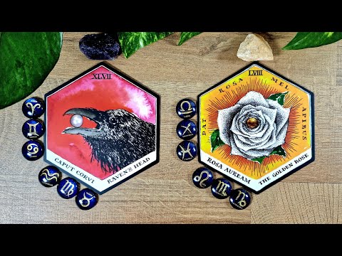❤️💛 THEIR CURRENT THOUGHTS AND FEELINGS FOR YOU? ❤️💛 | PICK A CARD 