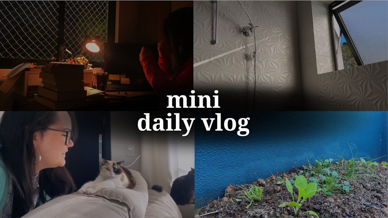Mini daily vlog | A beleza no ordinário da vida - YouTube