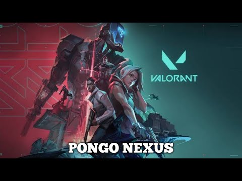 Pongo Nexus 2K Gaming - Valorant Test - YouTube