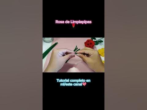 Rosa de Limpiapipas 🌹😍 aprende a hacerla y dásela a esa personita especial 🥰 #tutorial #rosa ...