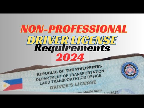 NON-PROFESSIONAL Driver LICENSE Requirements 2024 - YouTube
