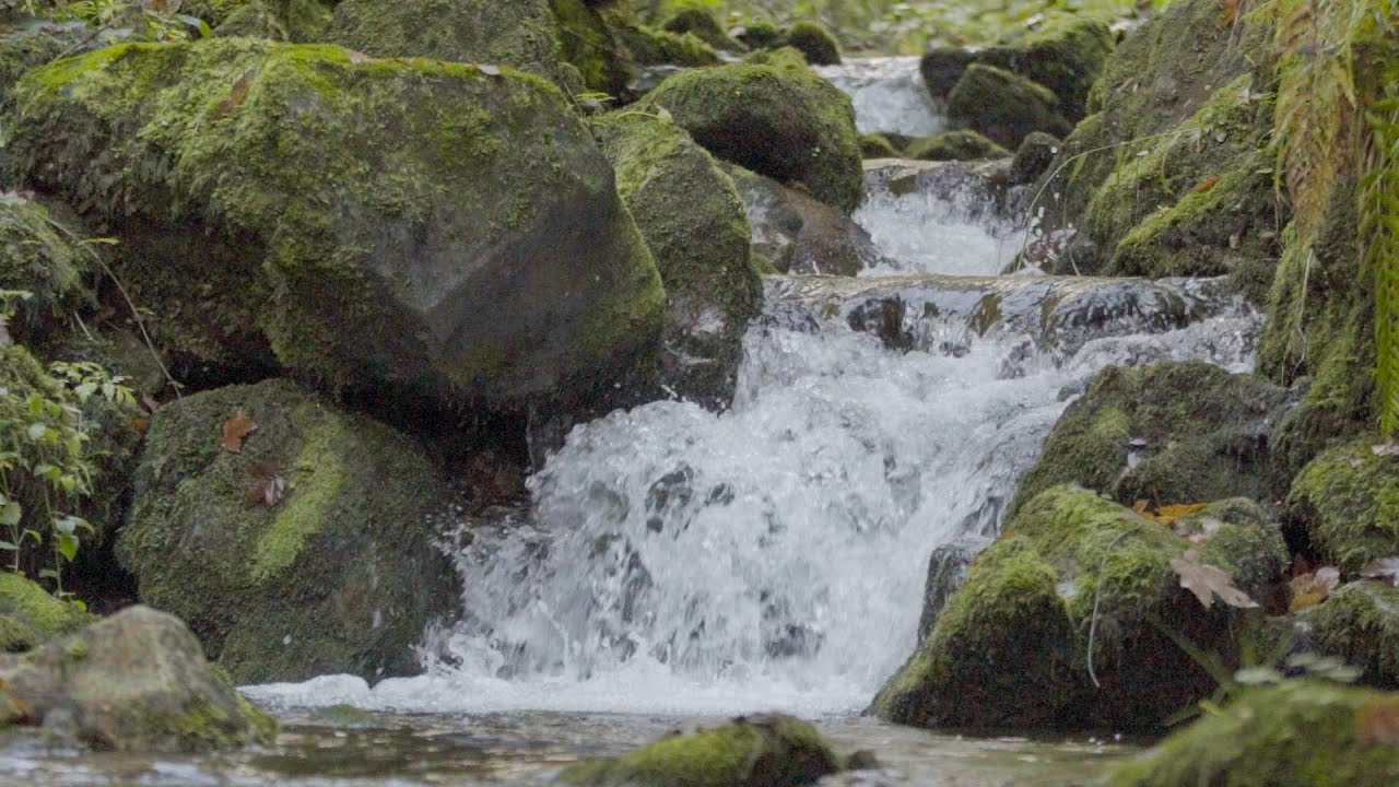 Small Stream of water in slow motion | (Full HD) - YouTube