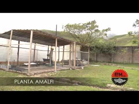 VIDEO CORPORATIVO PROMICAL - YouTube