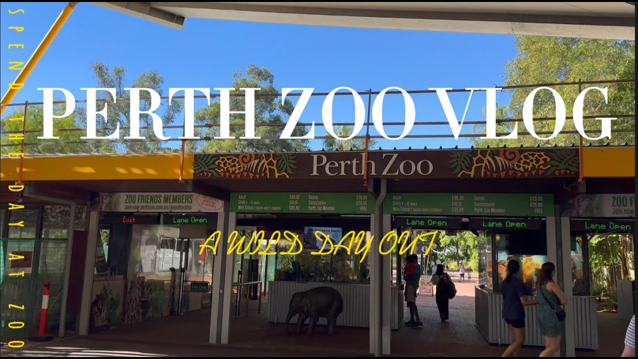 Perth Zoo ┃Walking tour around Perth Zoo, Western Australia┃Travel vlog ...