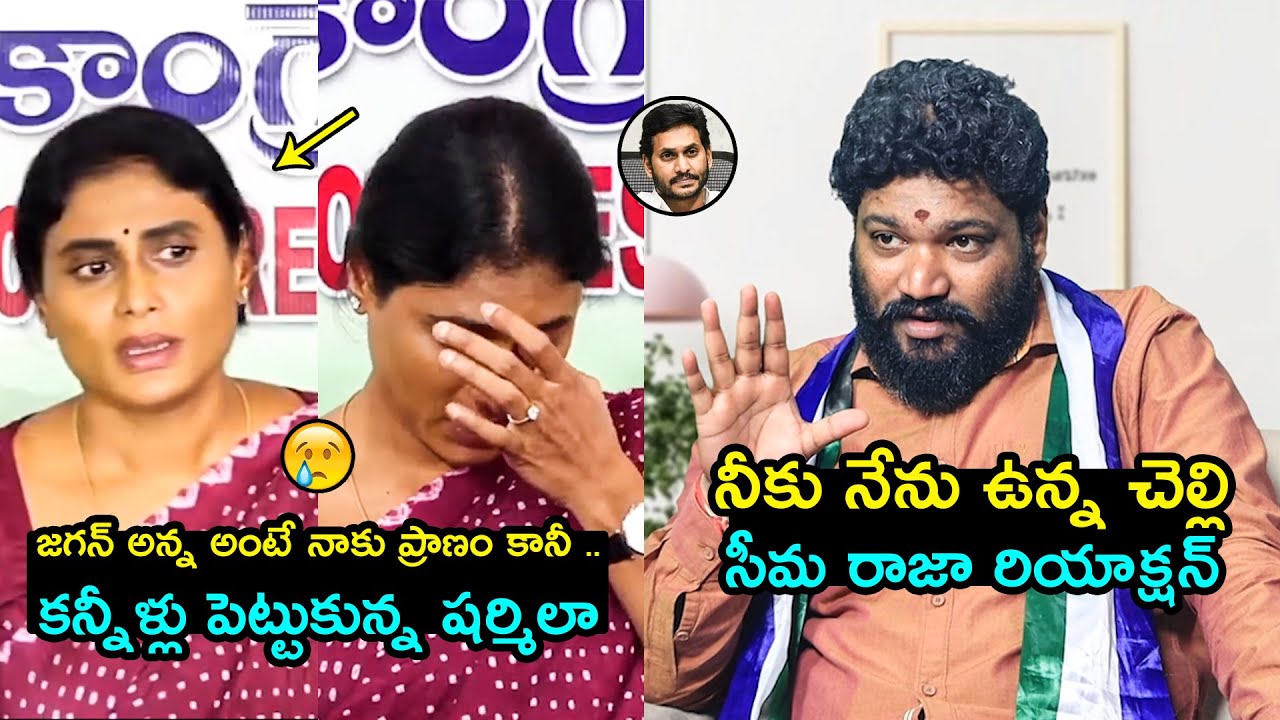 Seema Raja REACTION On YS Sharmila Reddy Gets EMOTIONAL Over Assets ...
