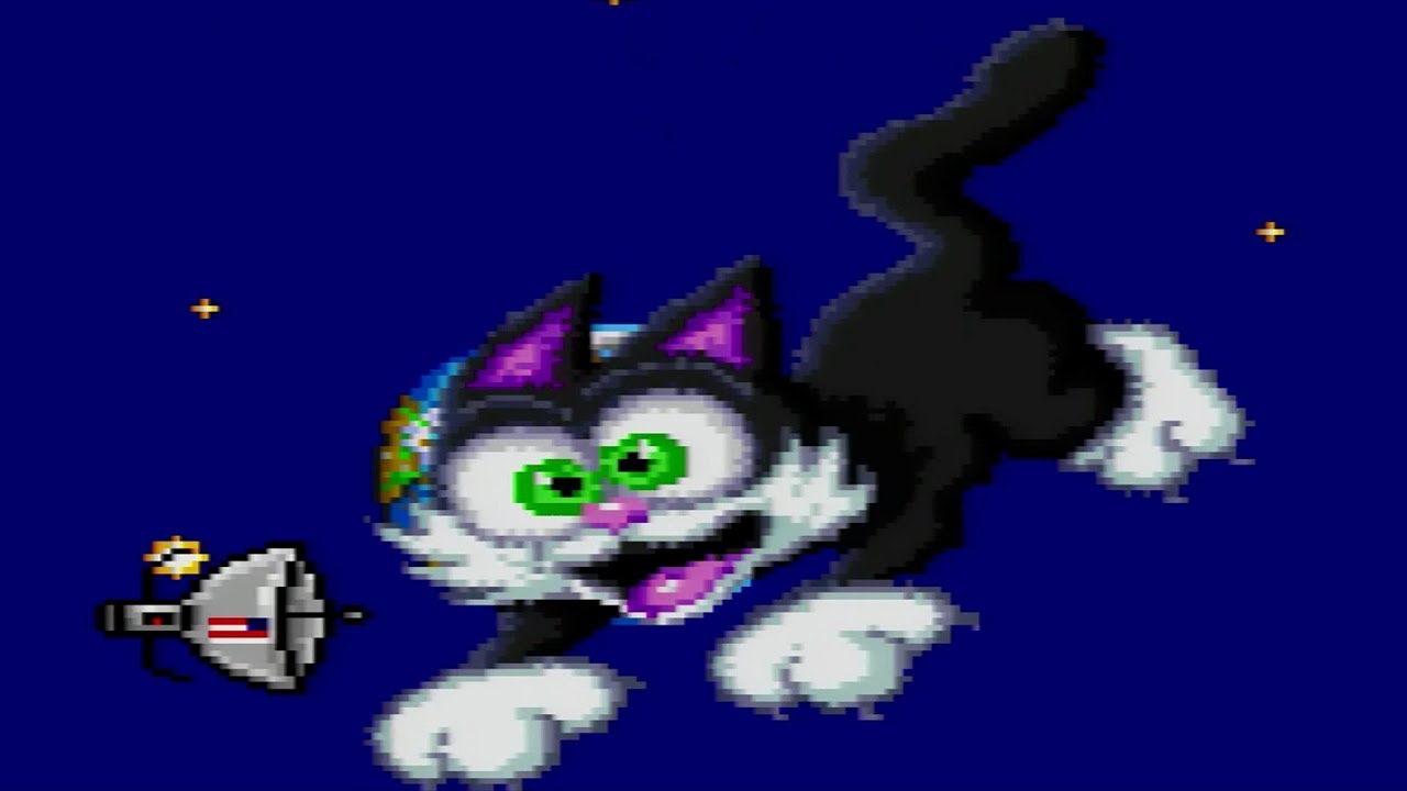 Socks The Cat Youtube