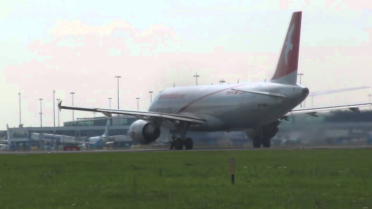 Bird vs Airplane! Air Arabia A320 Takeoff from Amsterdam [Aircraft ...