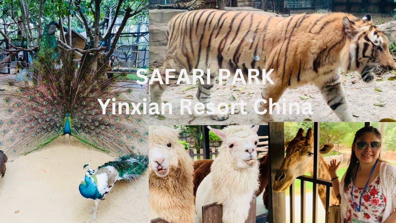 YINXIAN RESORT CHINA ONE DAY TOUR AT SAFARI PARK |ONE DAY TOUR -PART 3 ...