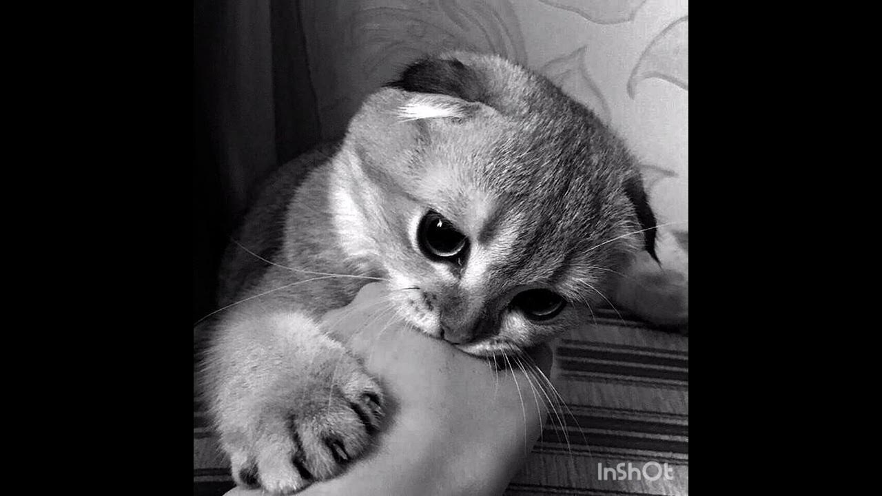 Отпусти меня🥺 - YouTube