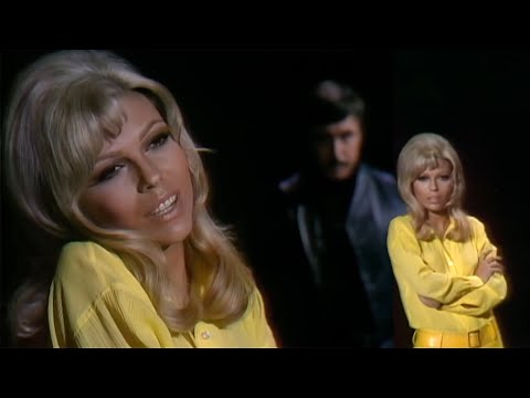 NANCY SINATRA & LEE HAZLEWOOD - Summer wine