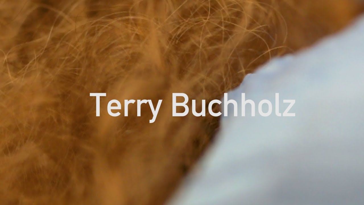 BLOCKED - Terry Buchholz in plan.d. - YouTube