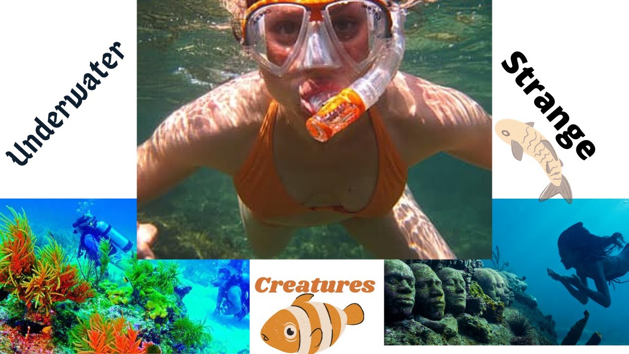 Underwater strange creature#underwater strange animals - YouTube