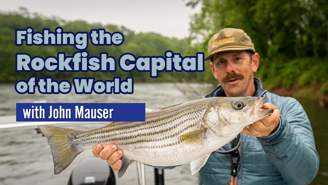 Fishing the Rockfish Capital of the World with Capt. John Mauser - YouTube