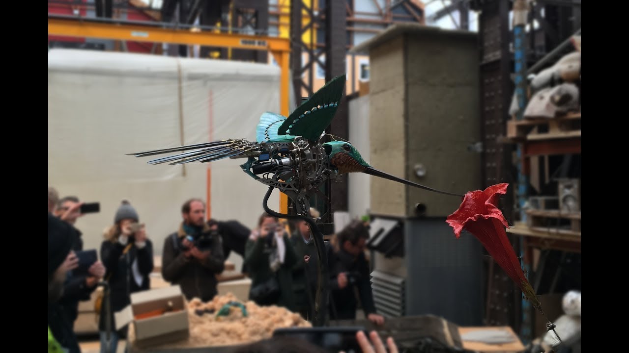 Colibri géant - Nouveauté des Machines de l'Ile - YouTube