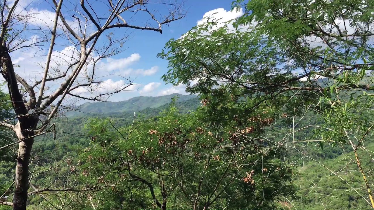 sitio calao mayantoc tarlac - YouTube