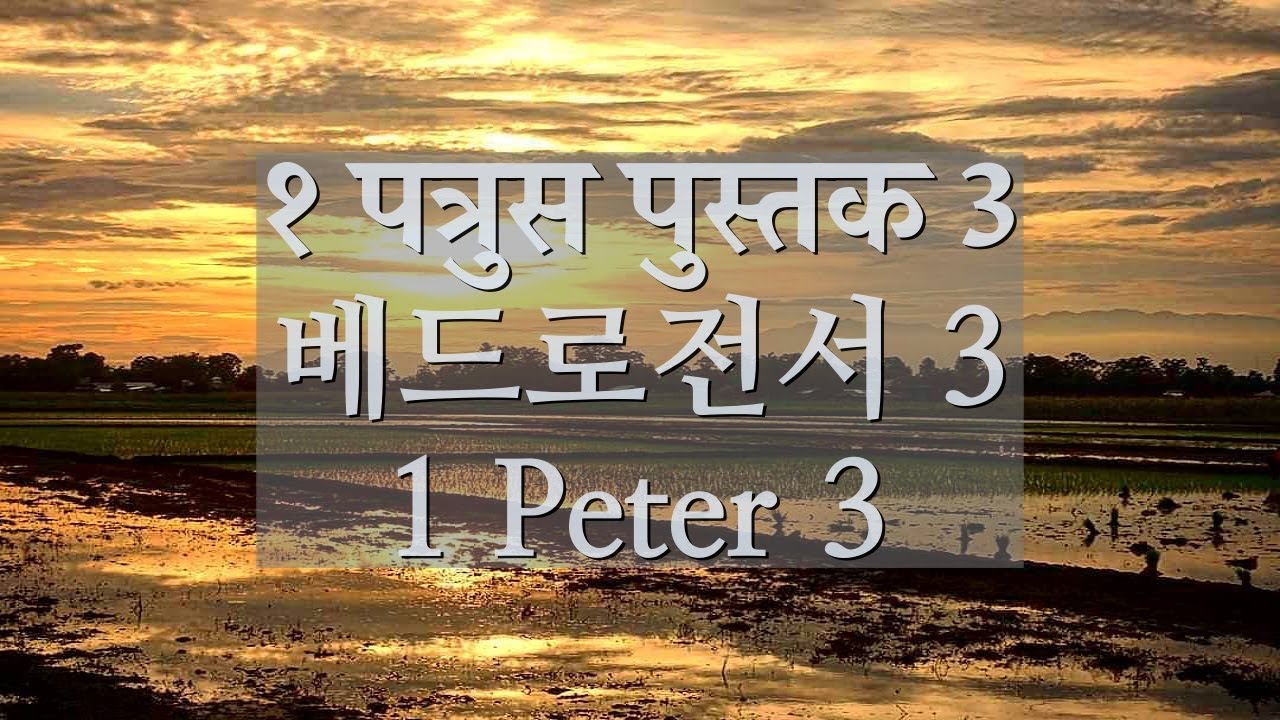  3 3 1 Peter 3 YouTube