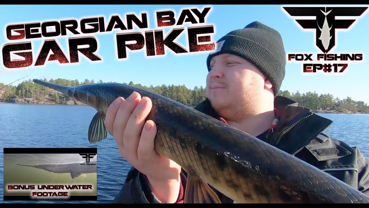 Fall Fishing MASSIVE Georgian Bay Gar Pike. **Bonus Underwater Footage ...