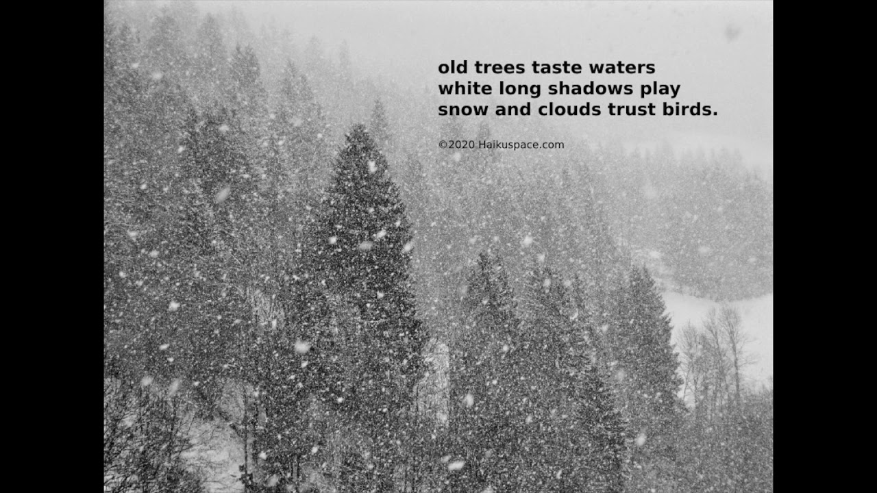 Winter Haiku Poems