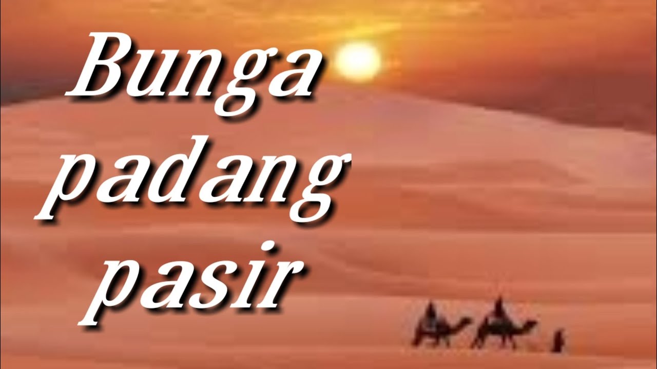Rock Jiwang/SOFEA//bunga padang pasir - YouTube