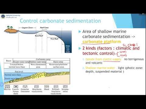 Lecture 25 : Shallow marine Carbonate depositional environment - YouTube