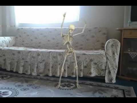 İskelet videosu