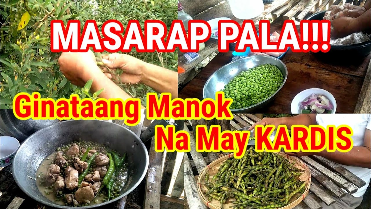 Ginataang Manok At Kadios or Kardis//Pigeon peas in coconut milk. - YouTube