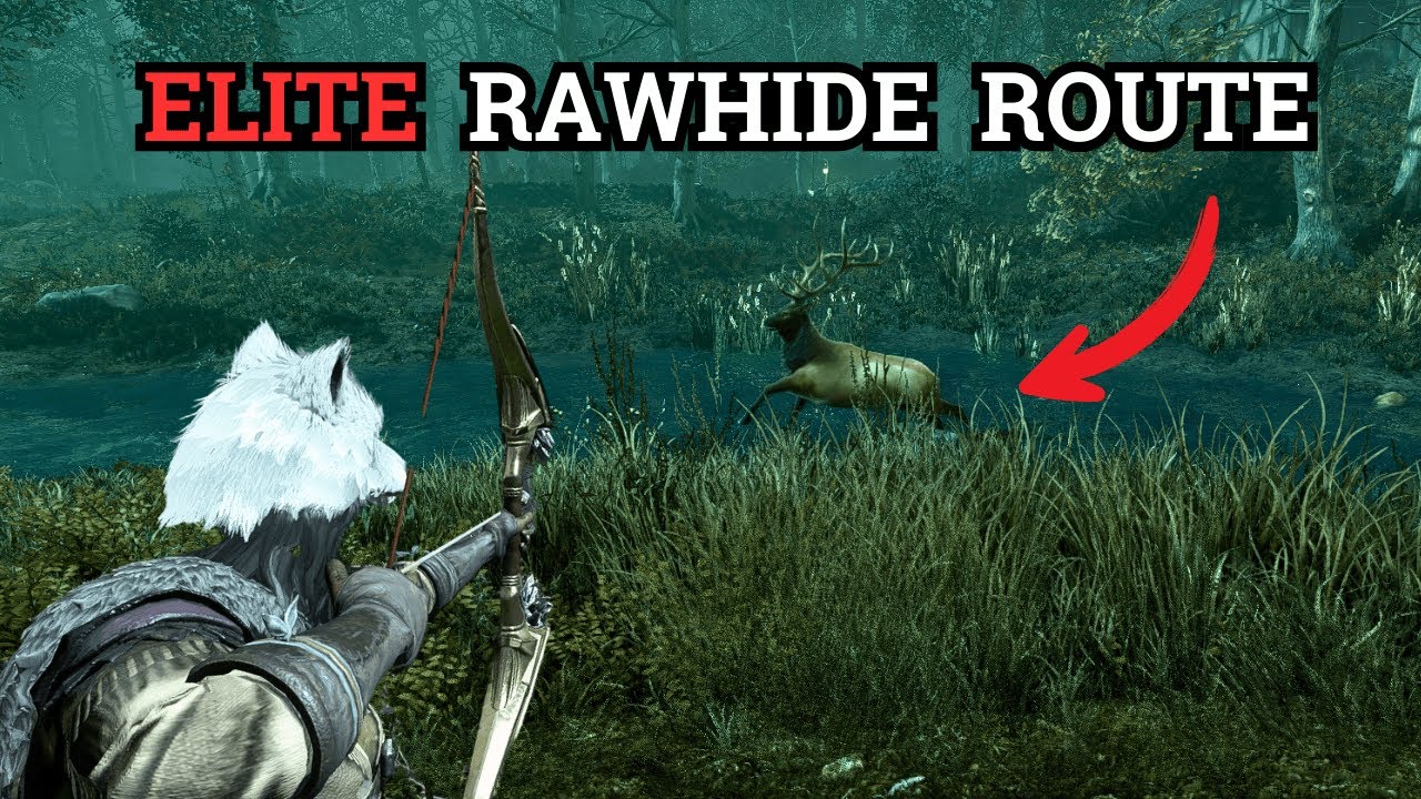 Best rawhide farm in New World: Aeternum 2025 - YouTube