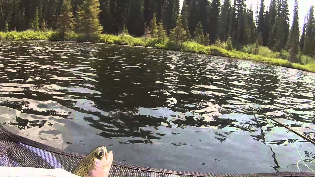 Fly Fishing Lost Lake III - YouTube