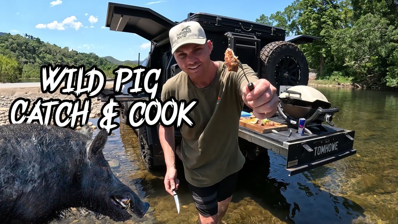 WILD PIG CATCH & COOK - YouTube
