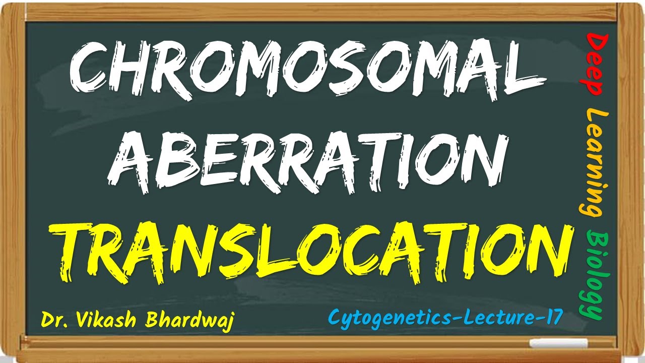 CytoGenetics- Lecture 17- Chromosomal aberration- Change in chromosome ...