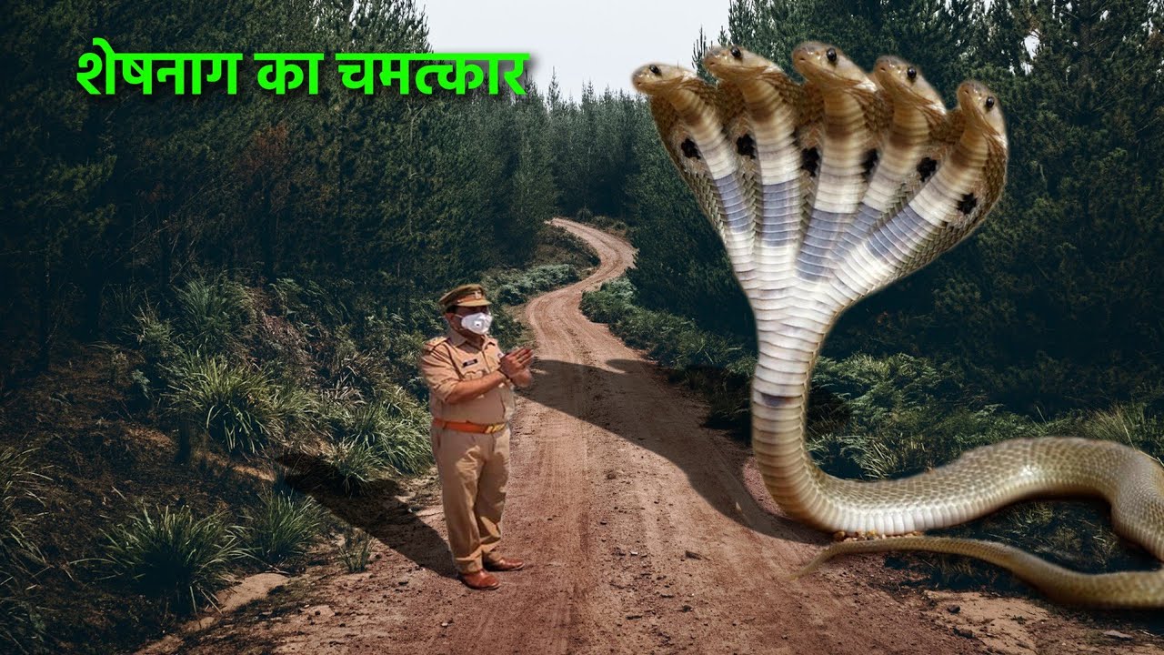 Real Naag Nagin- Sheshnaag ka chamatkar 🐍| Real story - YouTube
