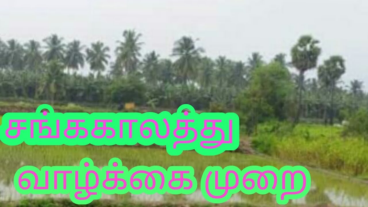 சங்க கால வாழ்க்கை முறை/ சங்ககாலம்/sangakalam life - YouTube