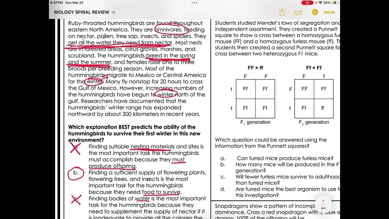 Biology Keystone Review Week 2 Explained - YouTube