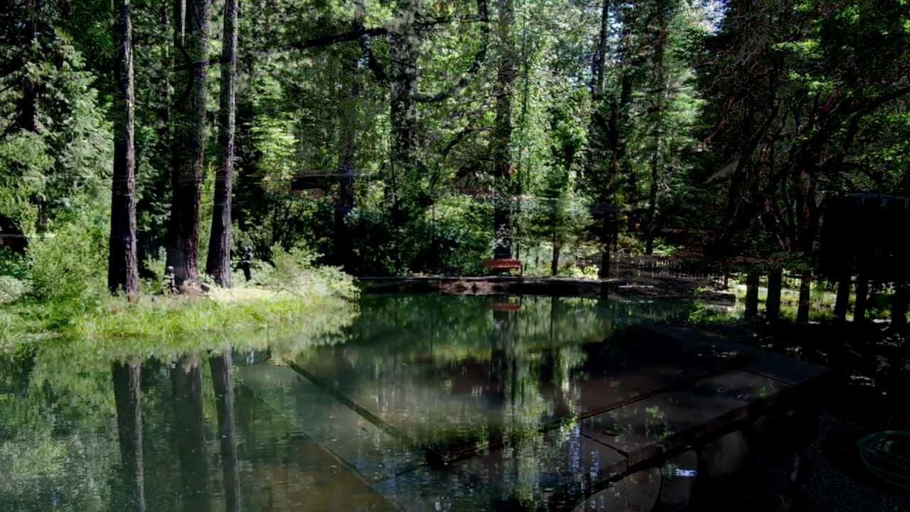 MERLO PARK - YouTube