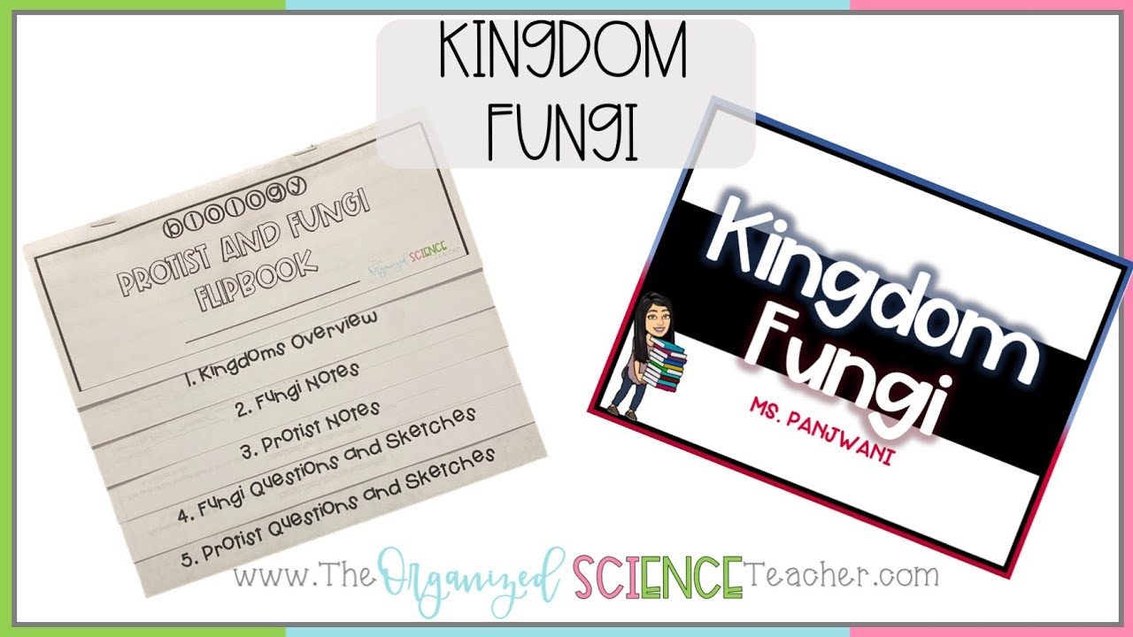 Digital or Distance Learning: Kingdom Fungi Overview (w/Foldable) I The ...