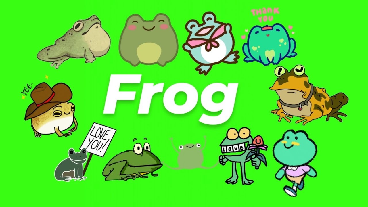 Animated Frog GIF Green Screen Pack (Free Download) - YouTube