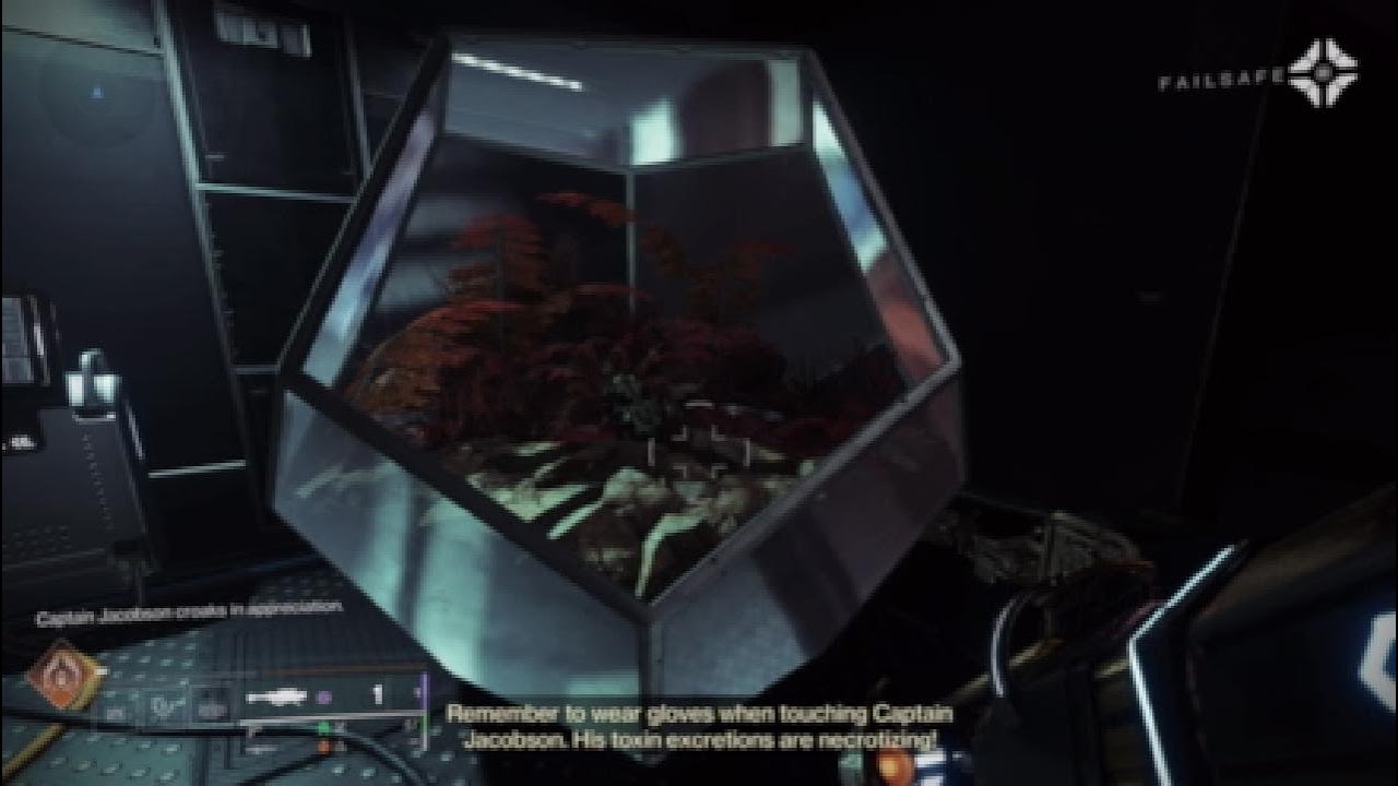 Nessus Frog Terrarium | Failsafe: "Remember to Wear Gloves When ...