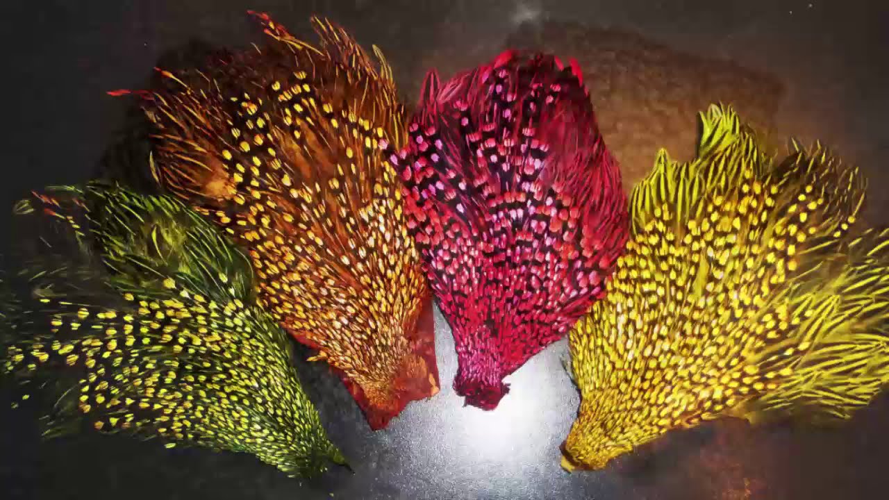 Irish Fly supplies flies and materials - YouTube